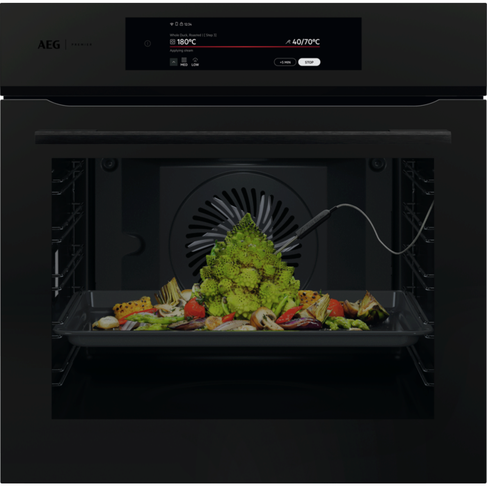 9000 ProAssist - Heteluchtoven met pyrolysereiniging Pyrolyse oven | AEG